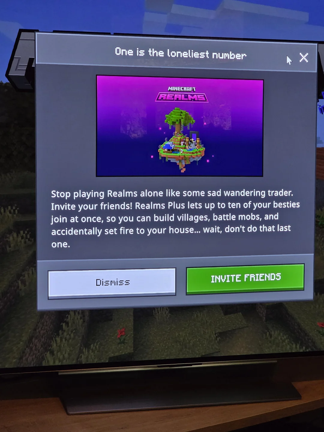 Sad and Lonely: Minecraft Ad Offends Fans of Single-Player Mode